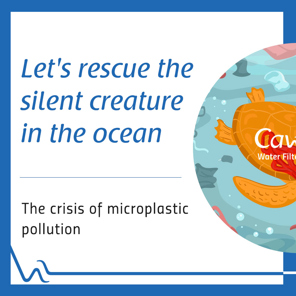 Let's compensate together what we ruined the silent creatures in the ...